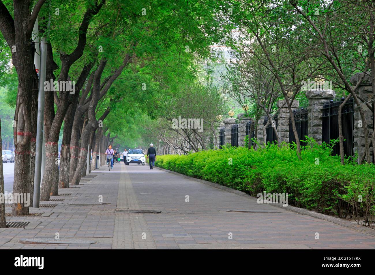 city scenery, closeup of photo Stock Photo - Alamy