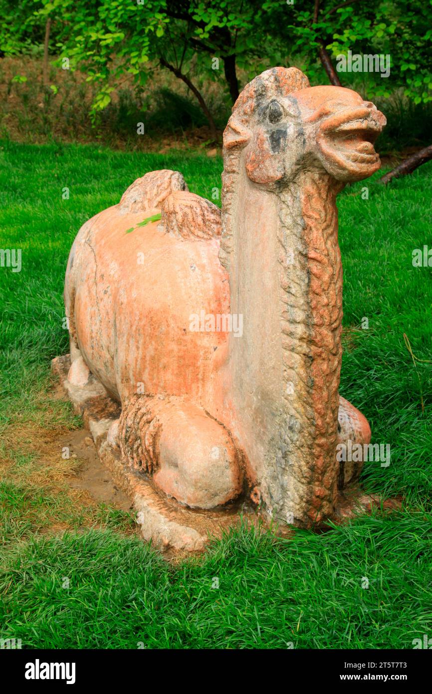 Camel stone sculpture in a park, closeup of photo Stock Photo - Alamy