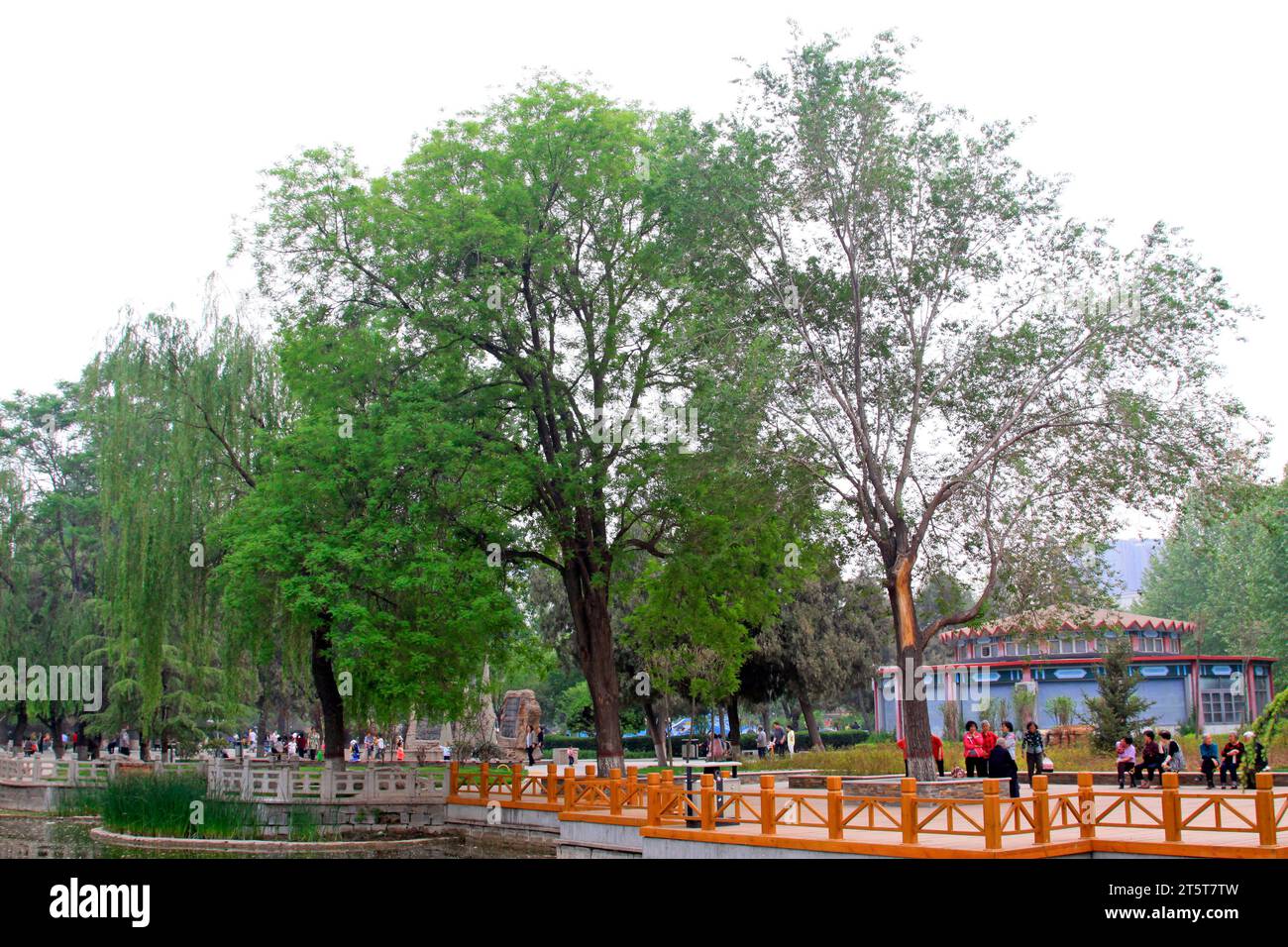 Park scenery, closeup of photo Stock Photo - Alamy