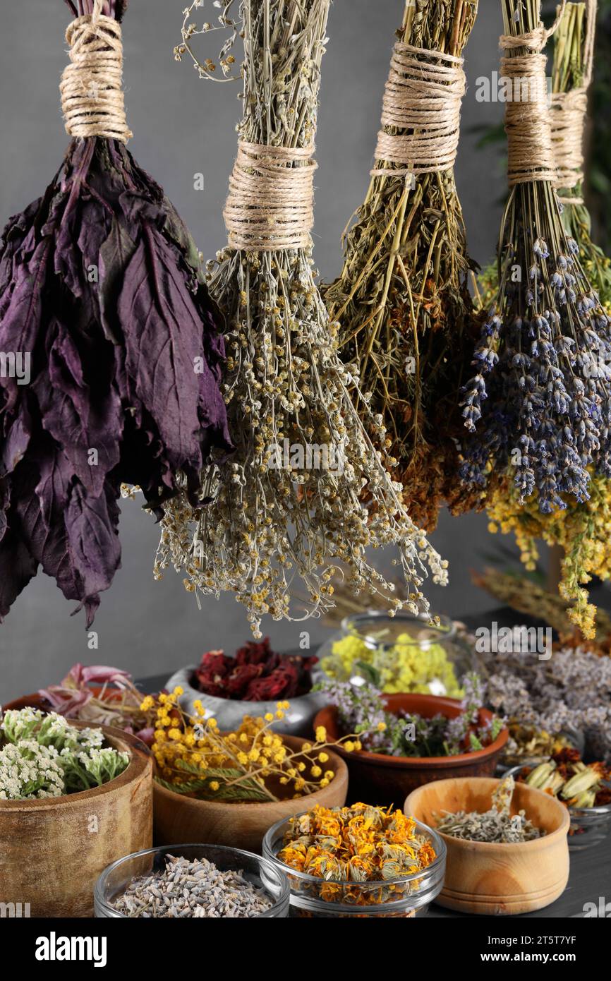 Many different herbs and flowers on grey background, closeup Stock ...