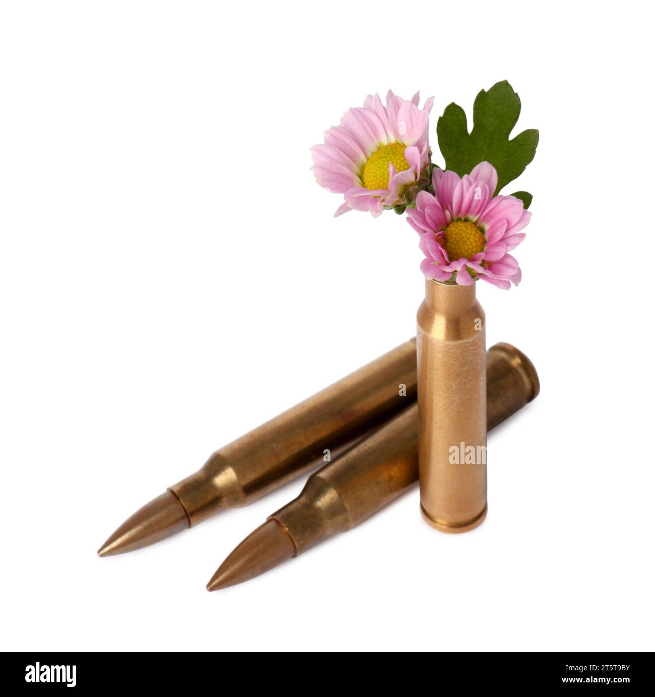 Bullets cartridge case beautiful hi-res stock photography and images ...