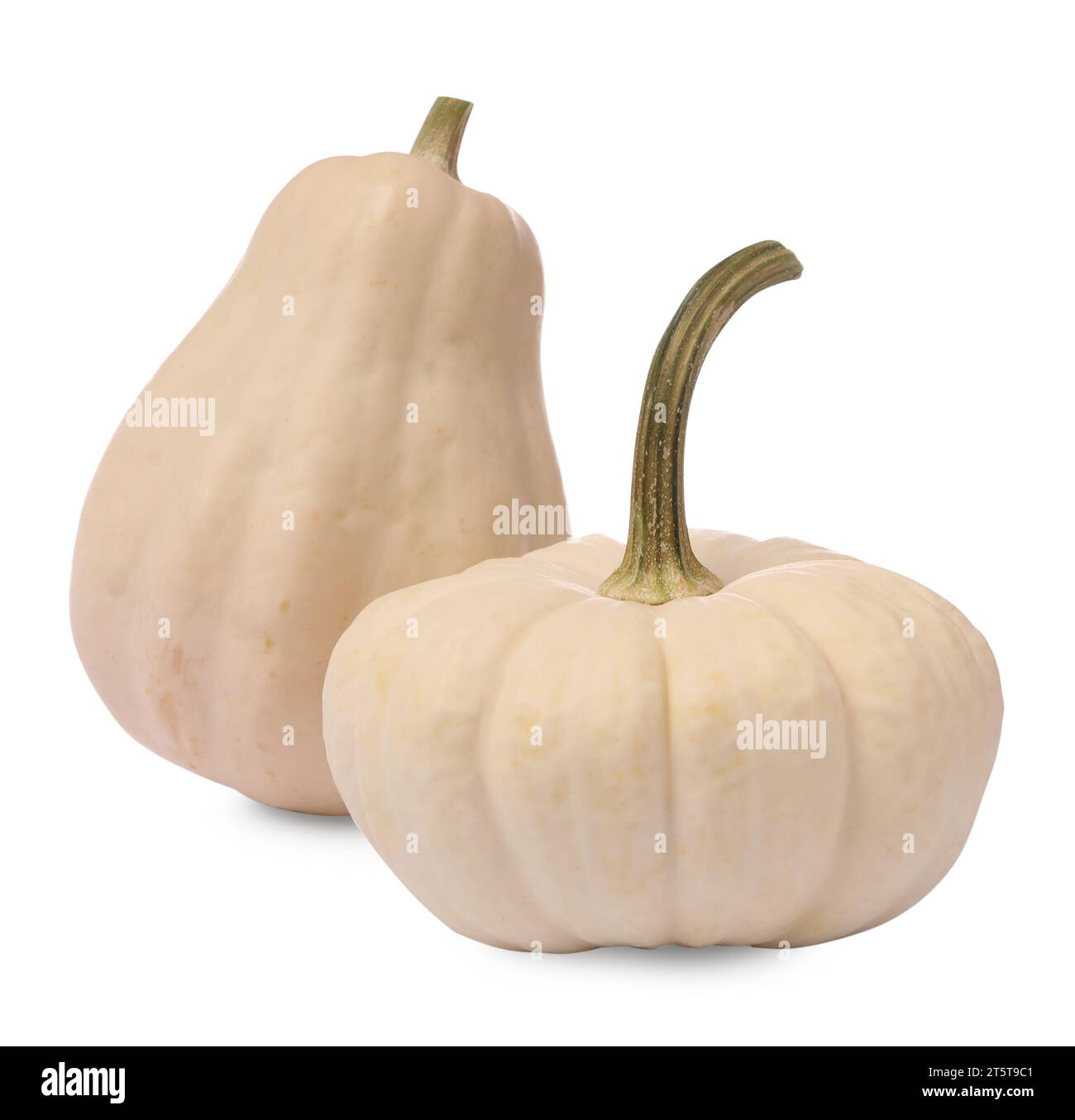 Two ripe beige pumpkins isolated on white Stock Photo - Alamy