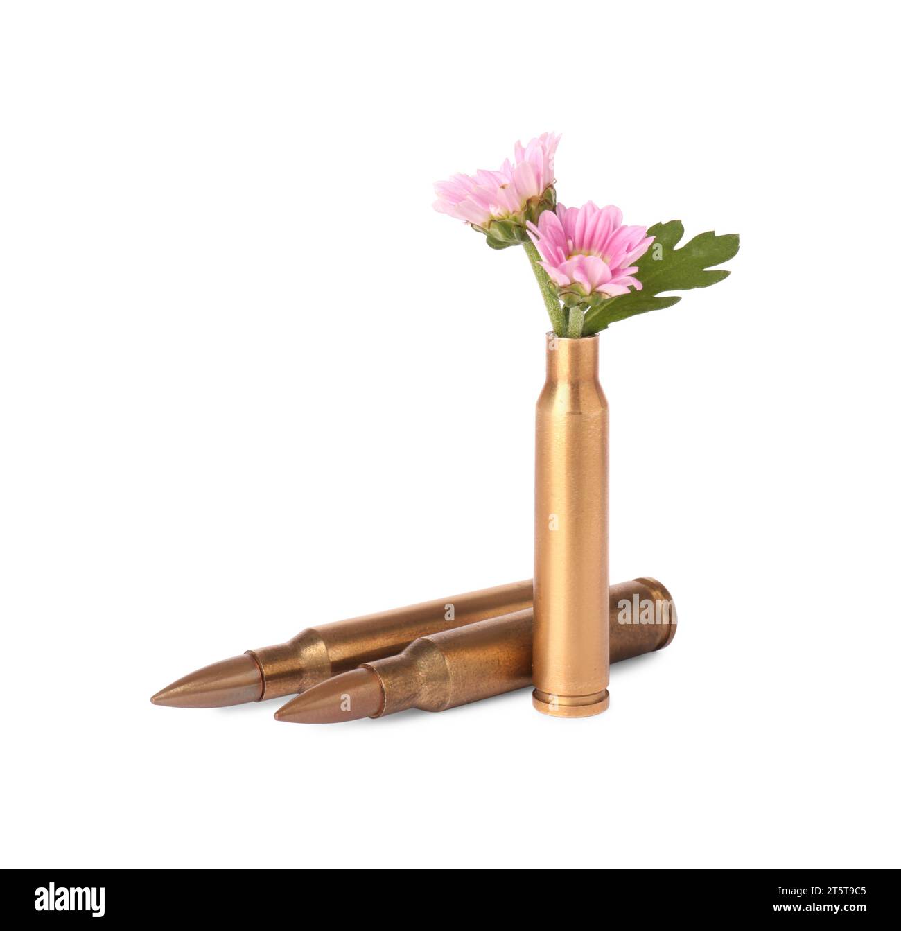 Bullets and cartridge case with beautiful flowers isolated on white ...