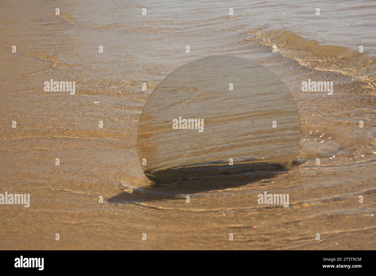 Round mirror reflecting sea on sandy beach Stock Photo - Alamy