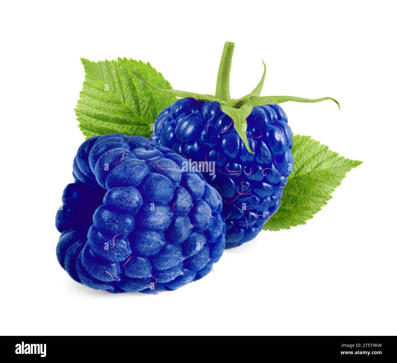 Fresh blue raspberries and green leaves isolated on white Stock Photo ...