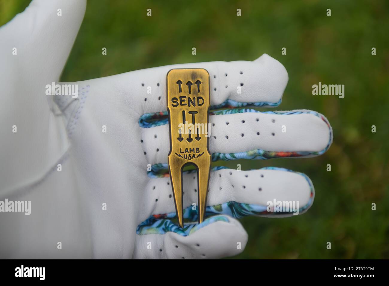 Golf divot repair tool in grass Stock Photo - Alamy