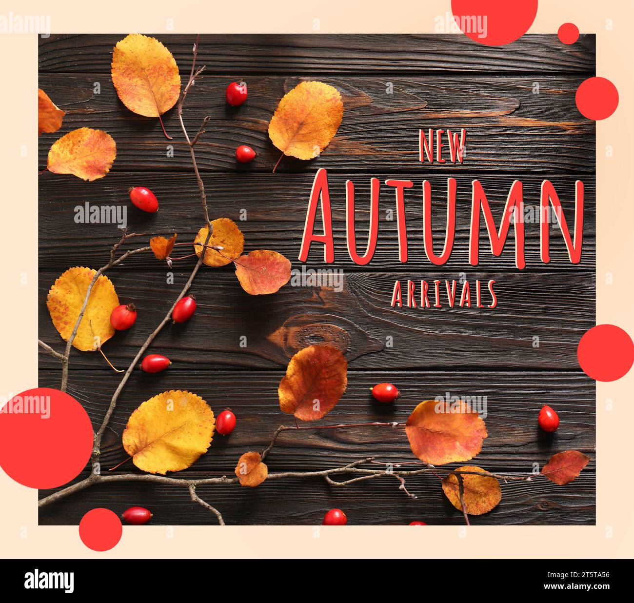 New autumn arrivals flyer design. Tree branch with yellowed leaves ...