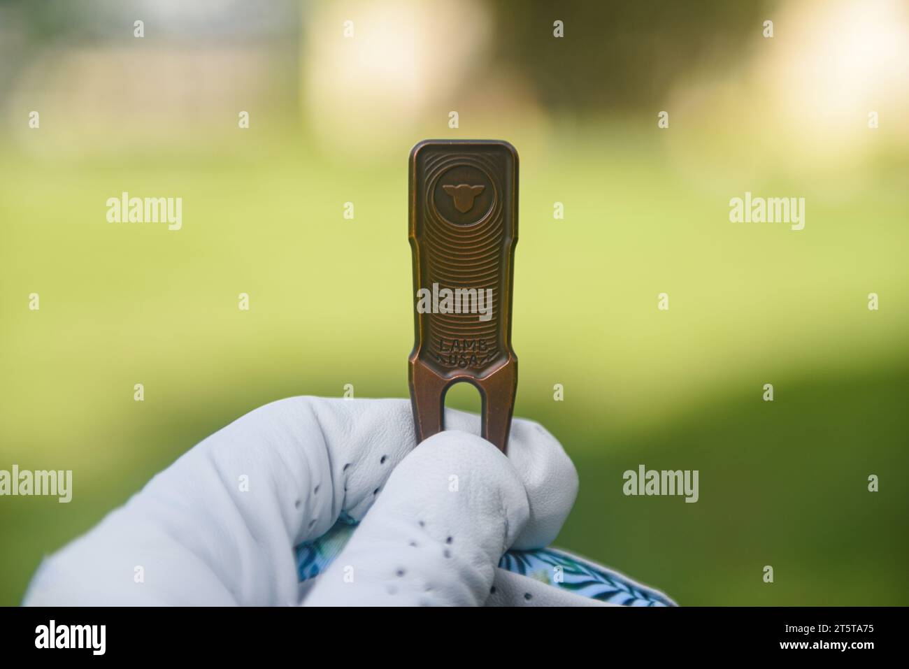 Golf divot repair tool in grass Stock Photo - Alamy