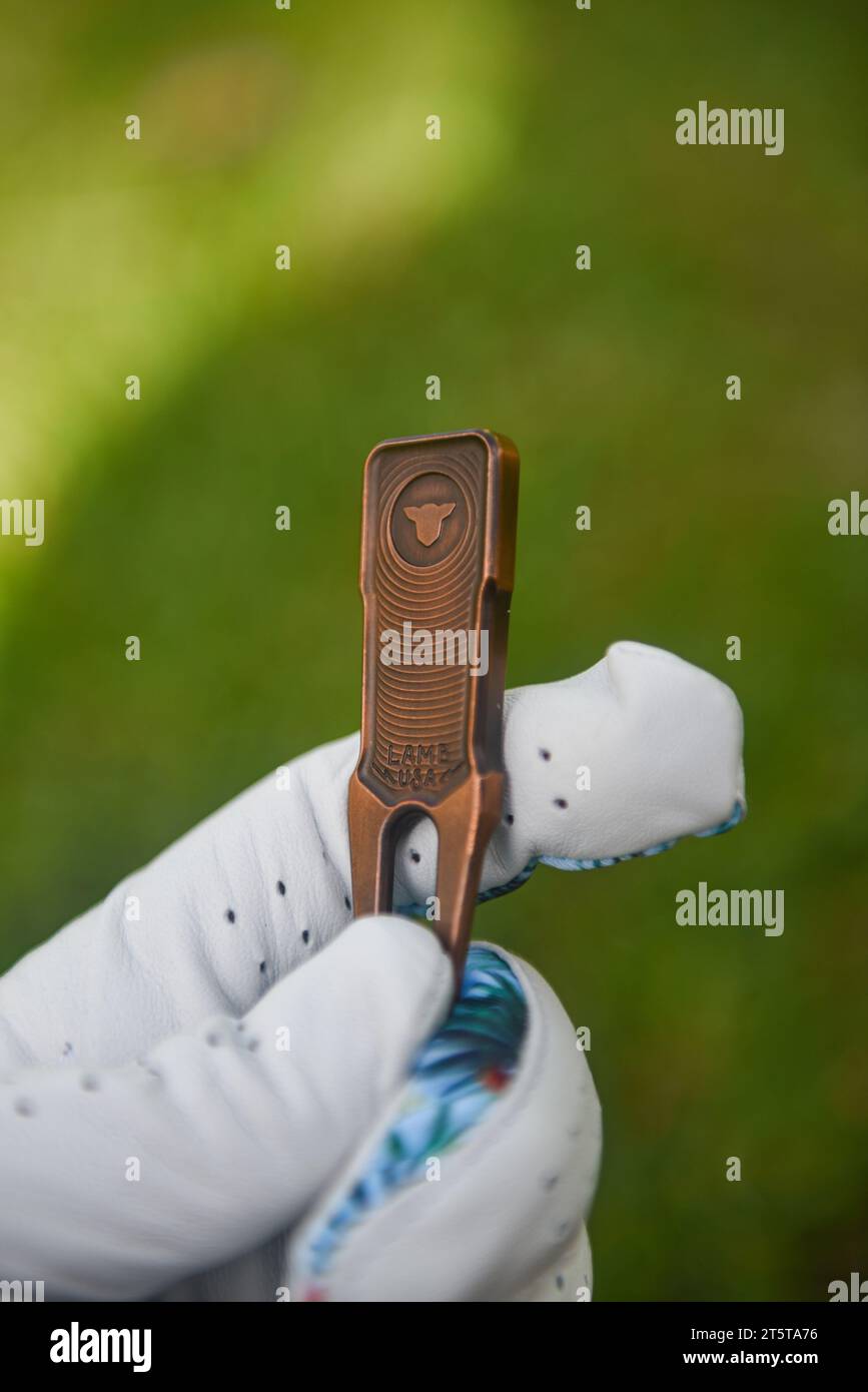 Golf divot repair tool in grass Stock Photo - Alamy