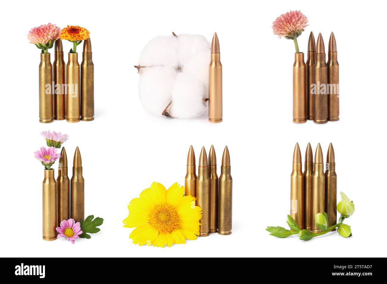Set of bullets and beautiful flowers isolated on white Stock Photo - Alamy