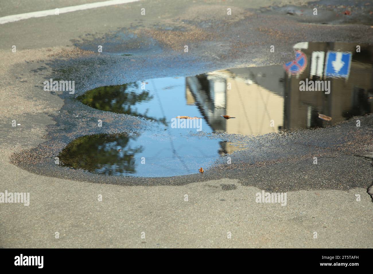 Torrential rain downfall hi-res stock photography and images - Alamy