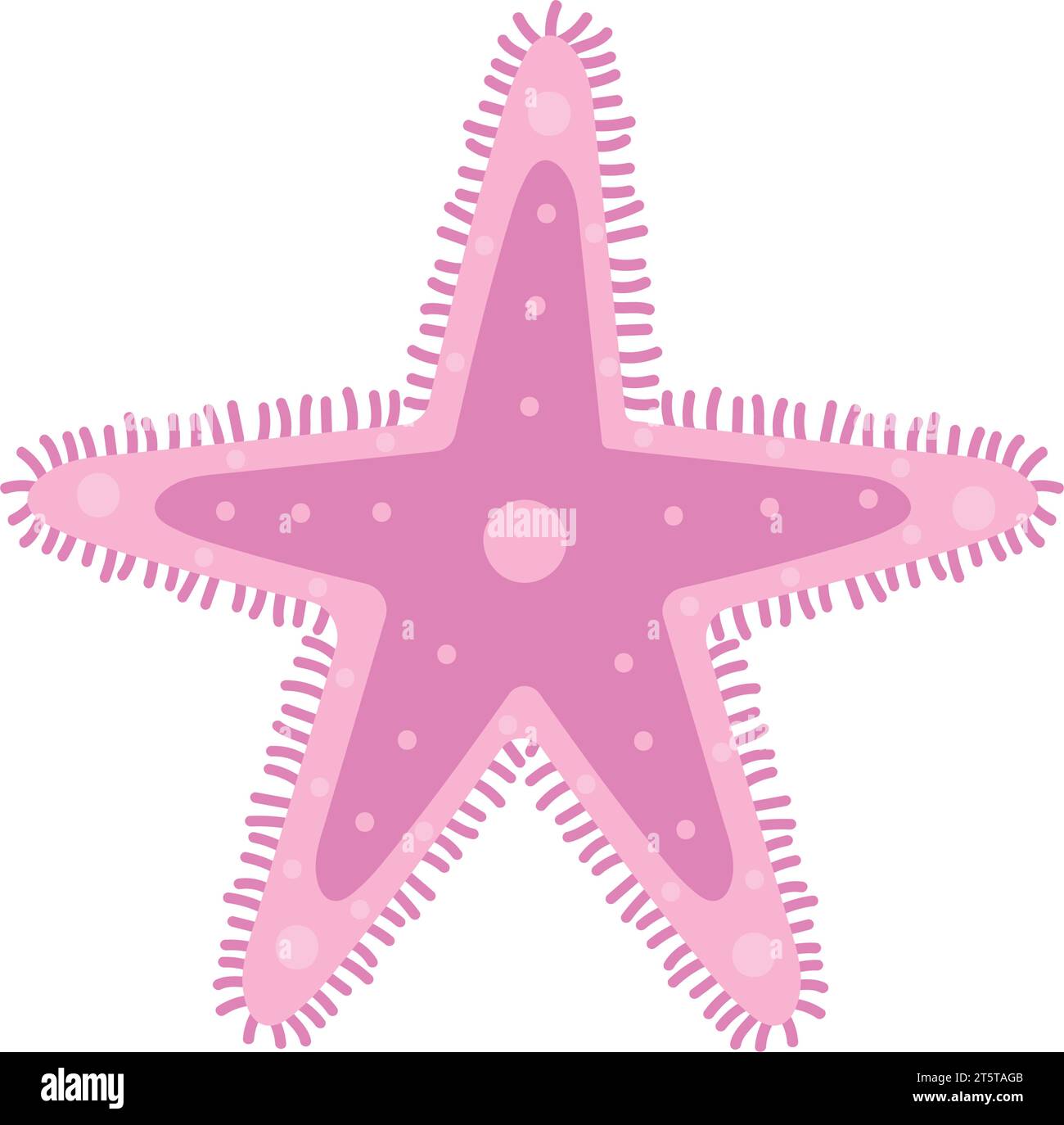 pink starfish sea life illustration Stock Vector Image & Art - Alamy