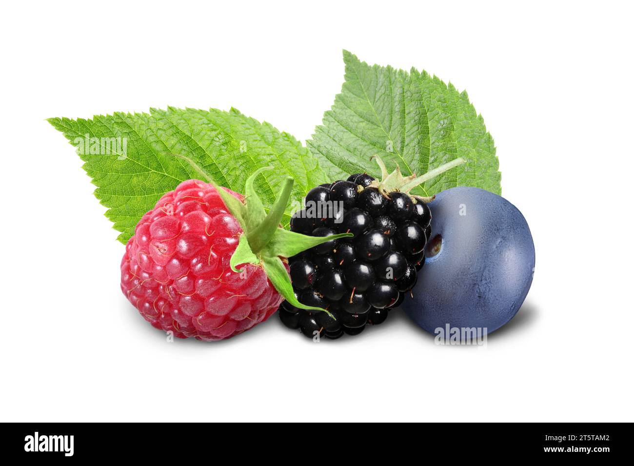 Different fresh ripe berries and green leaves isolated on white Stock ...