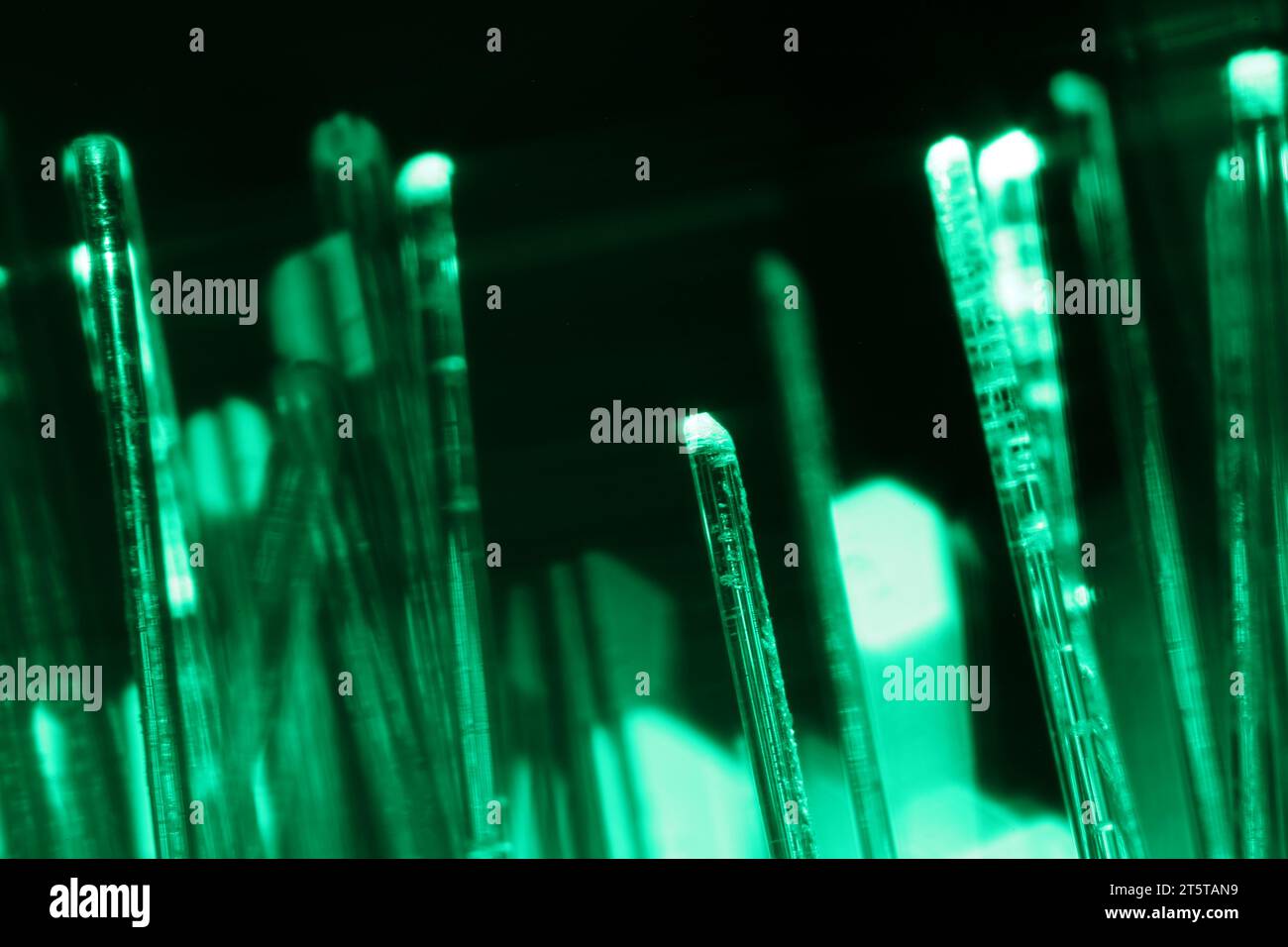 Optical fiber strands transmitting green light on black background ...