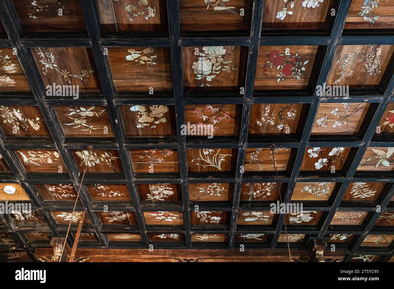 Anshoji Seiryuden Moss Banryu Dragon – The auspicious Seiryuden has a ...