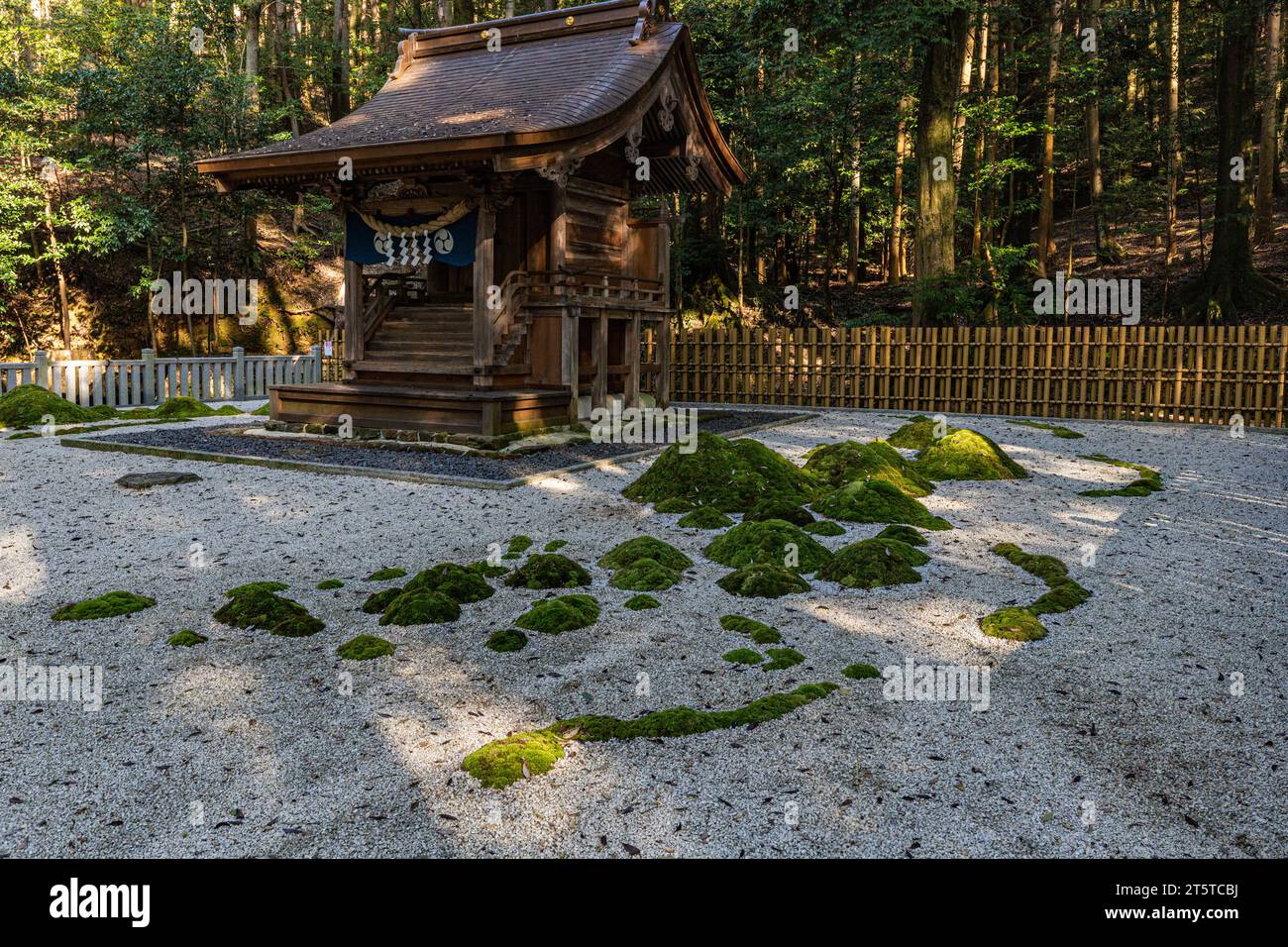 Anshoji Seiryuden Moss Banryu Dragon – The auspicious Seiryuden has a ...