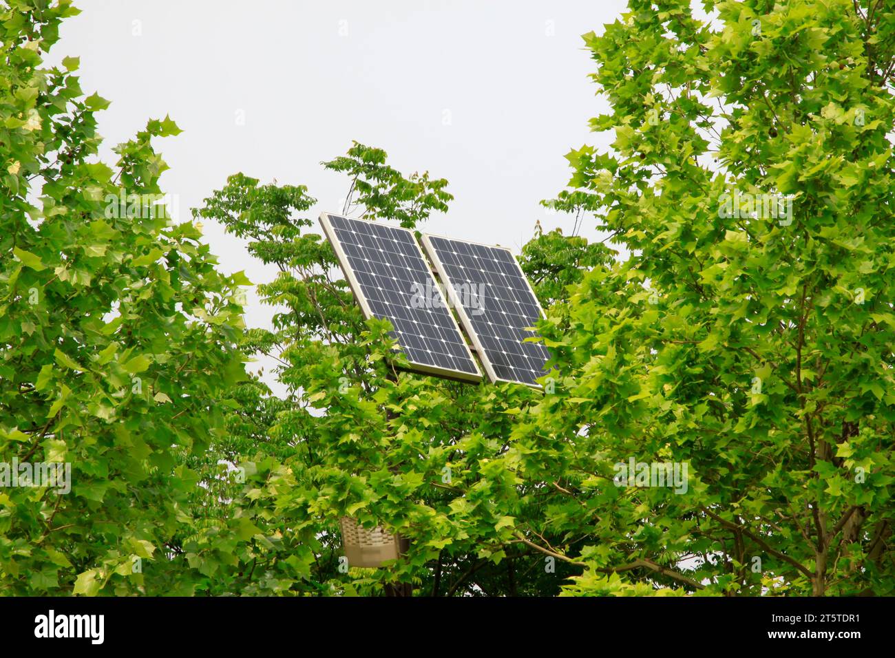 Solar panel closeup hi-res stock photography and images - Alamy