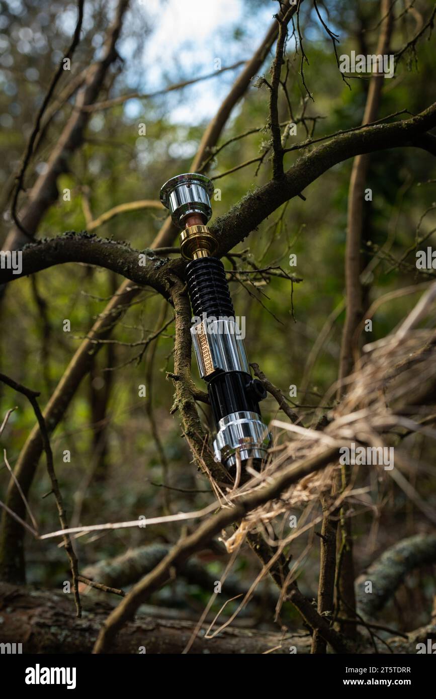 A light saber in the forest of Golden gate park Stock Photo - Alamy