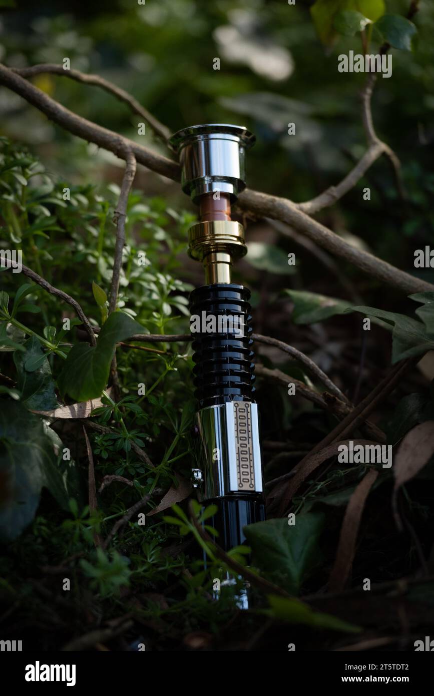 A light saber in the forest of Golden gate park Stock Photo - Alamy