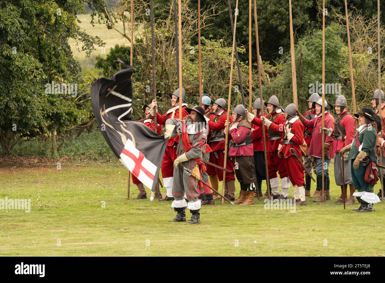 Ensign waving a flag at a historical reenactment of the Siege of Basing ...