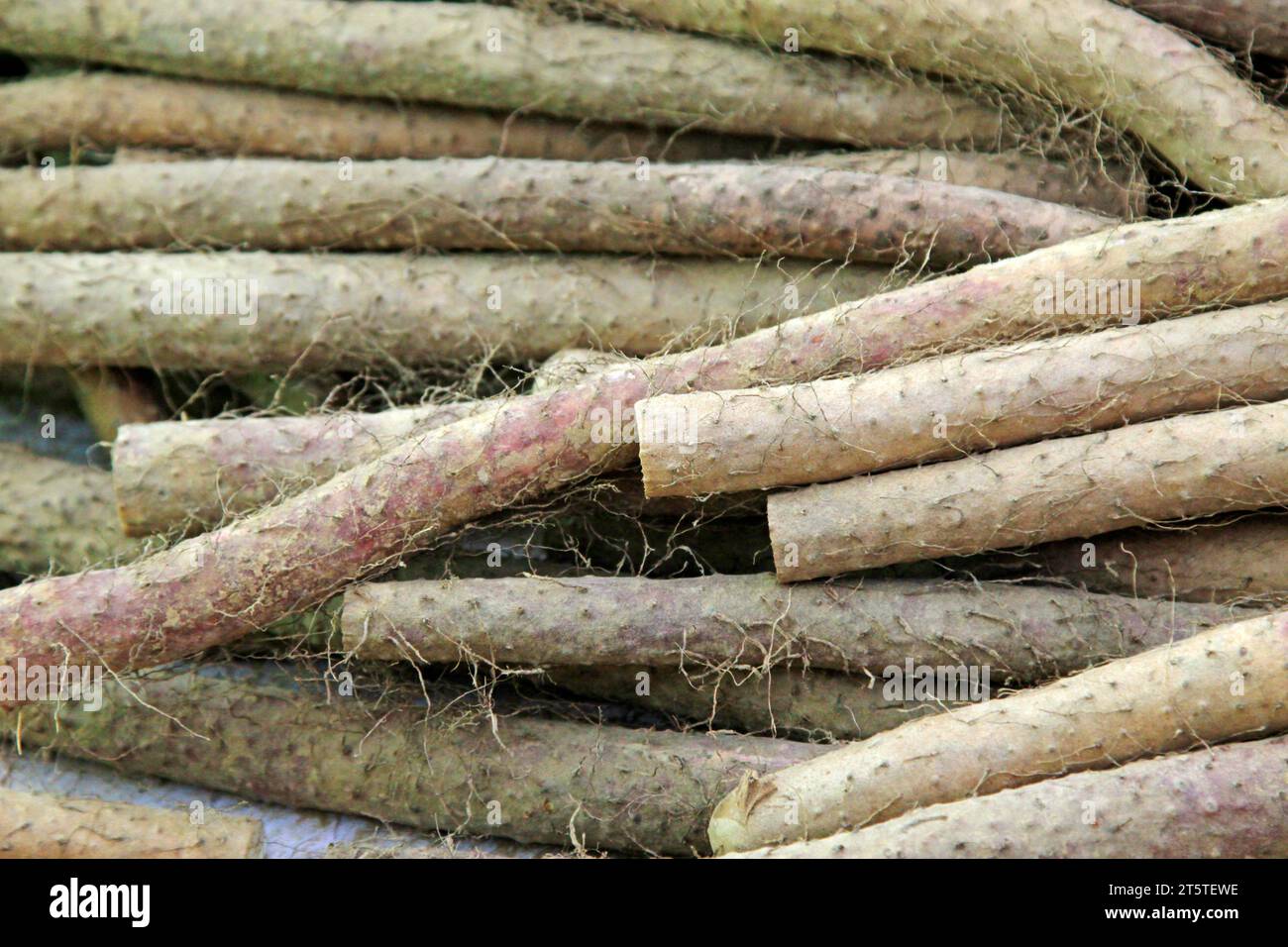Chinese yam hi-res stock photography and images - Alamy