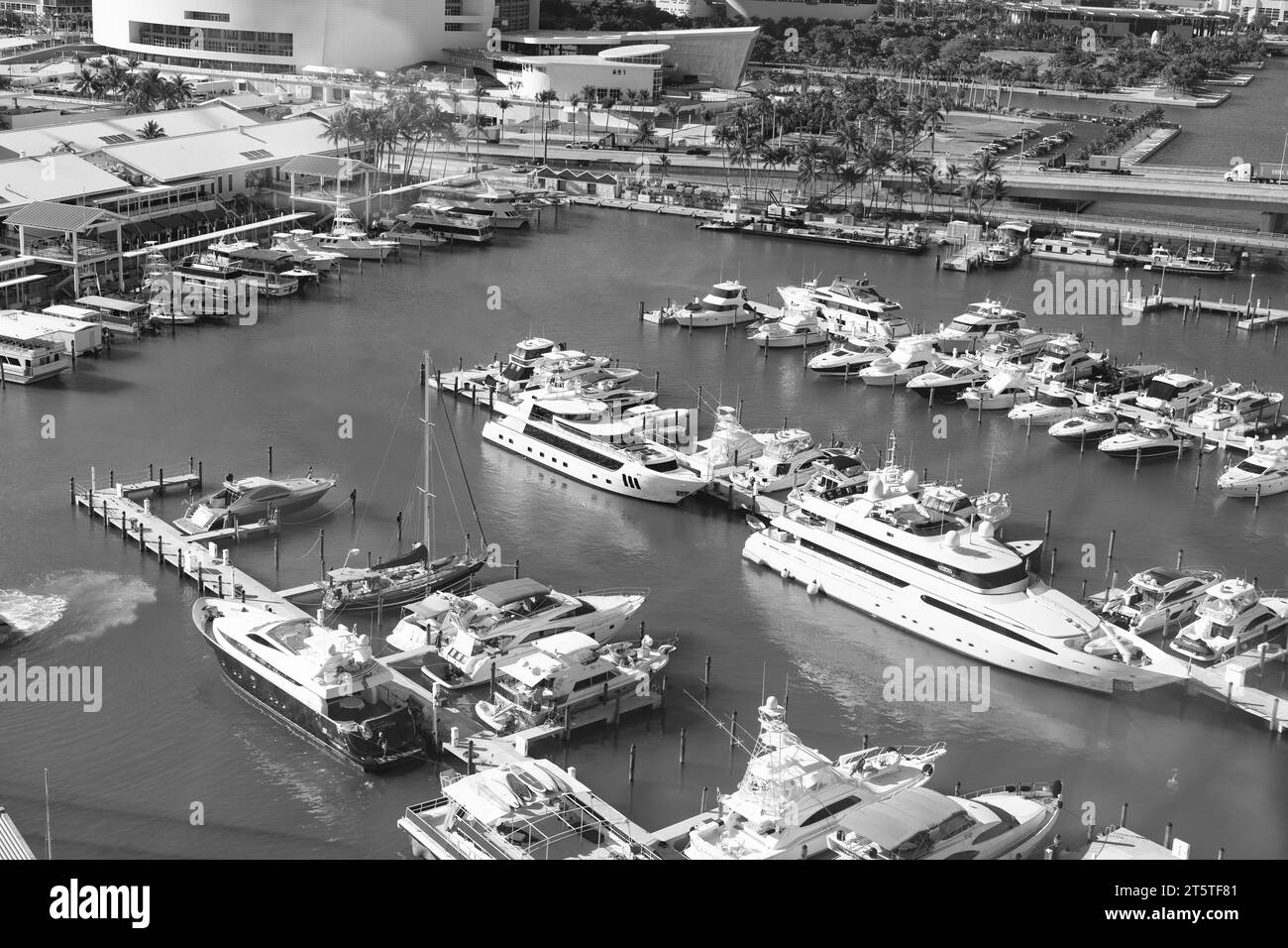 Miami Beach, Florida USA - March 23, 2021: luxury boats in yacht port ...