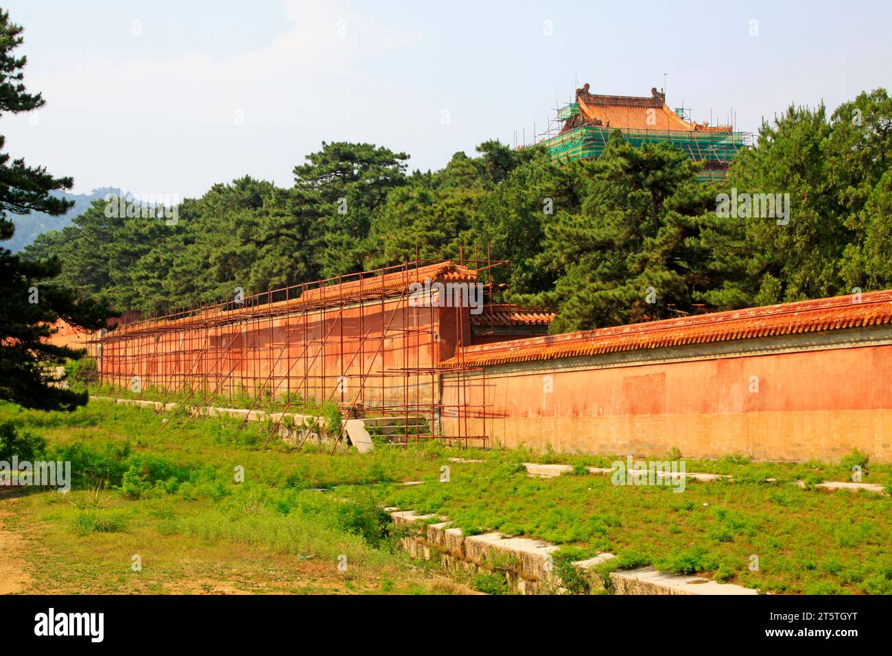Wall repair engineering scaffold Stock Photo - Alamy