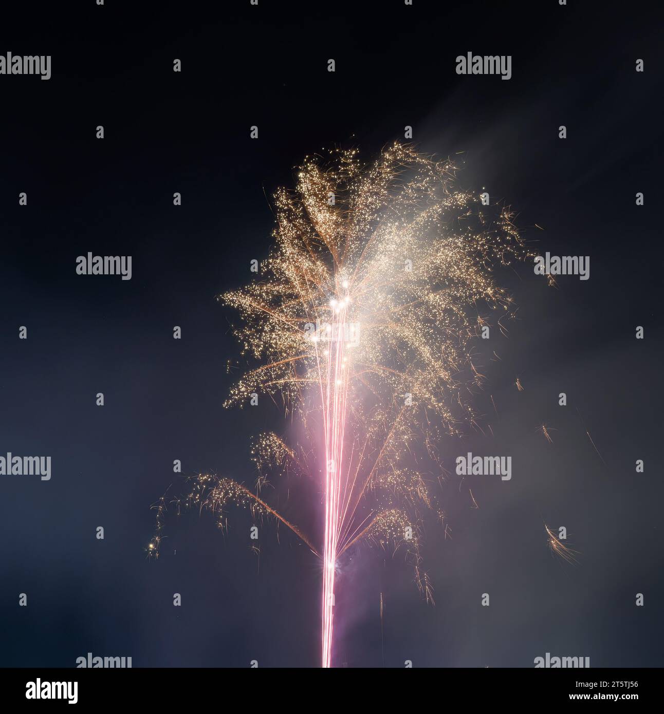 Fireworks in the night sky. Vertical format Stock Photo - Alamy