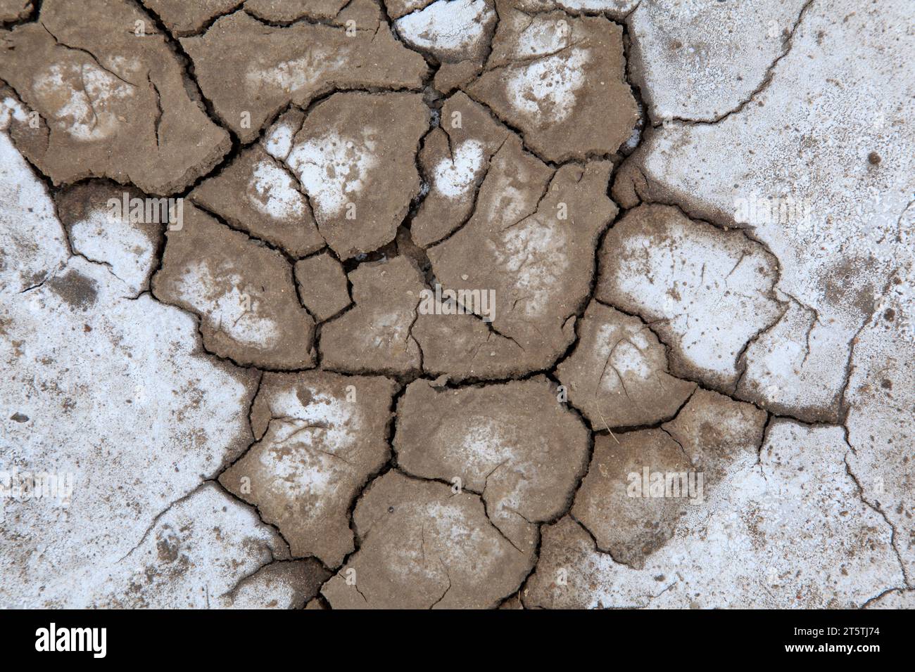 cracked saline-alkali land, closeup of photo Stock Photo - Alamy