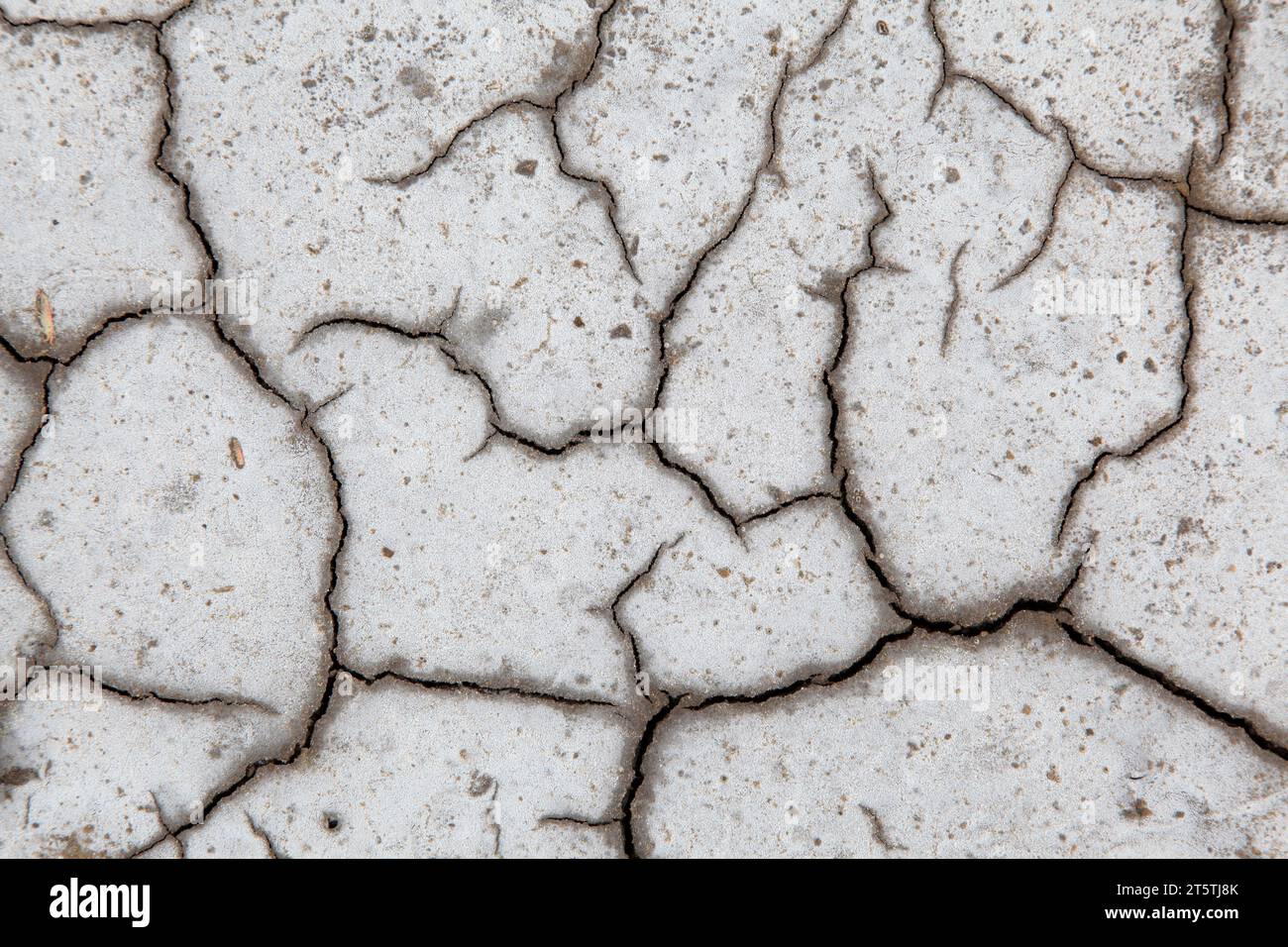 cracked saline-alkali land, closeup of photo Stock Photo - Alamy