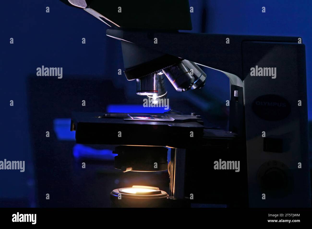 Microscopic lens hi-res stock photography and images - Alamy