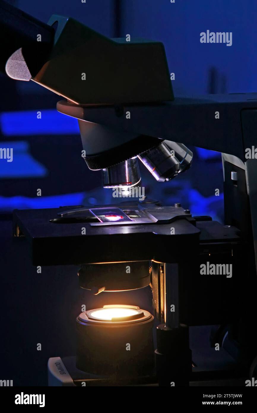 Microscopic lens hi-res stock photography and images - Alamy