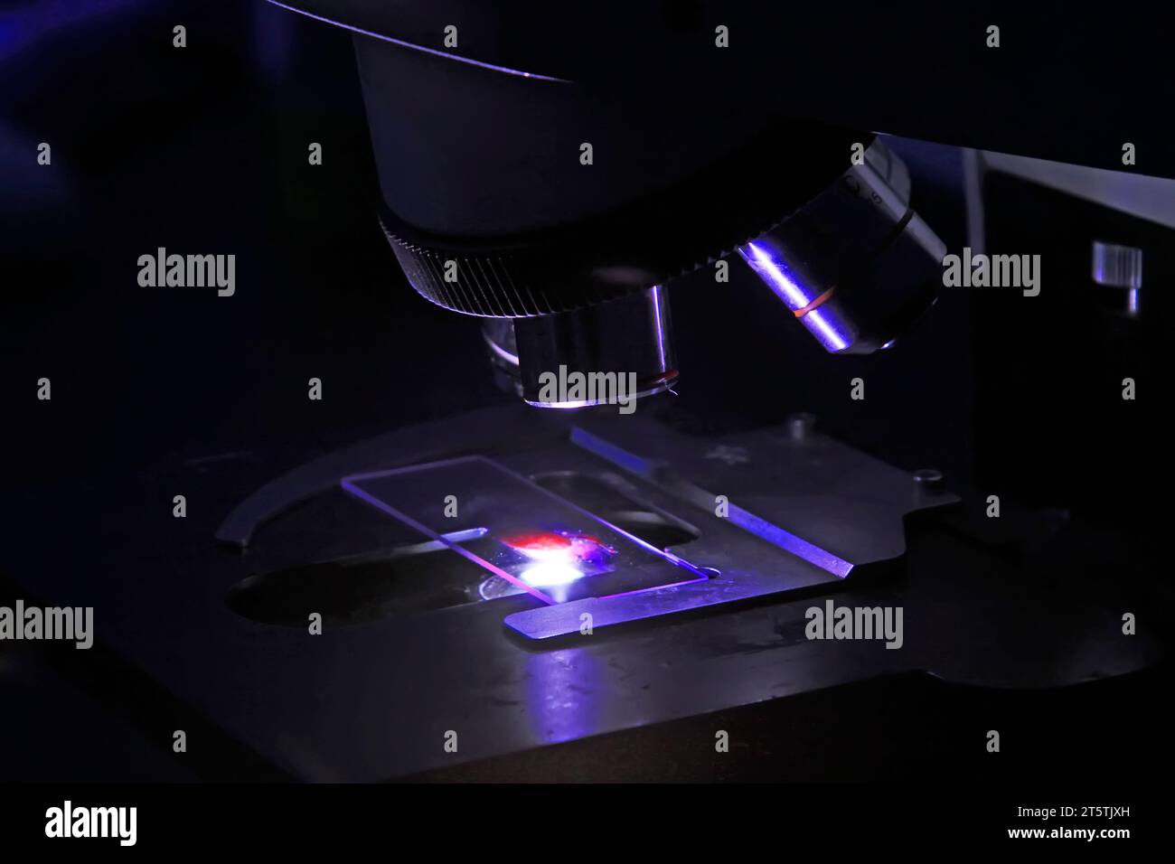 Microscopic lens hi-res stock photography and images - Alamy