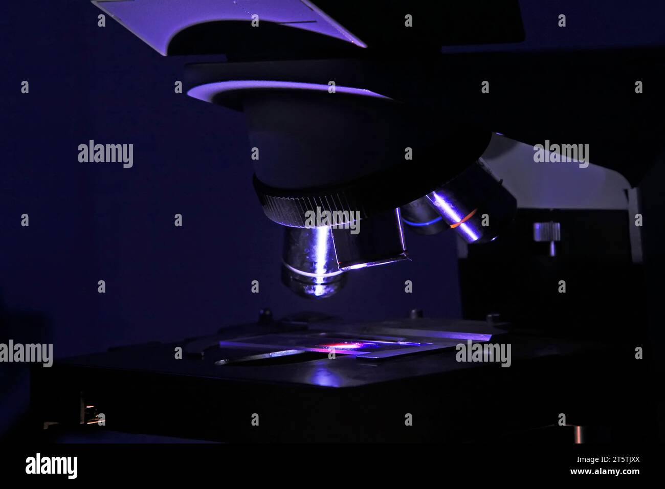 Microscopic lens hi-res stock photography and images - Alamy