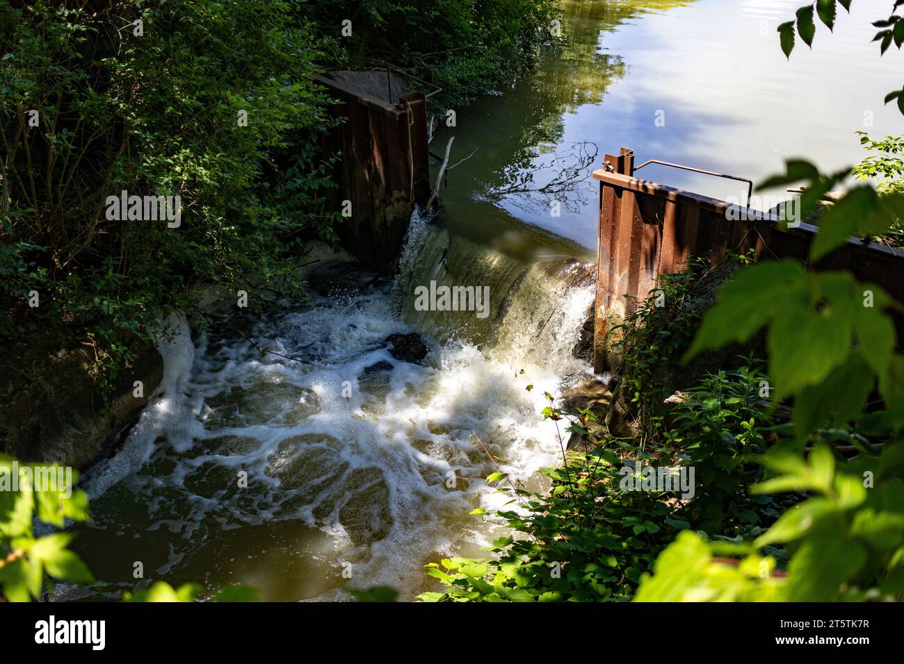 Rustic waterfall - nature scene with greenery and flowing water Stock ...