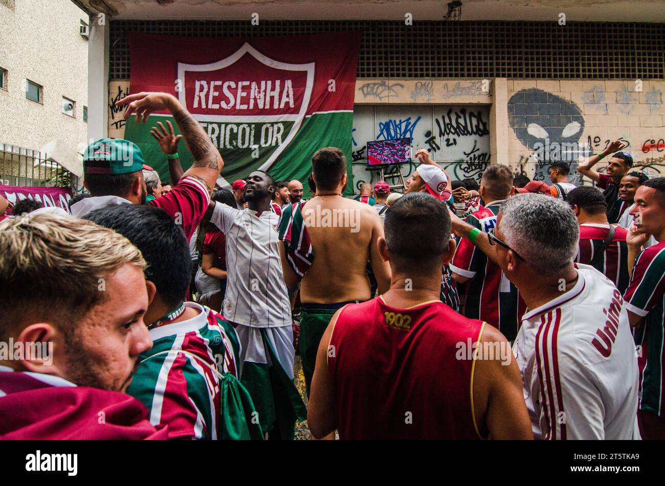 Rio De Janeiro, Brazil. 04th Nov, 2023. Fluminense fans watch the final ...