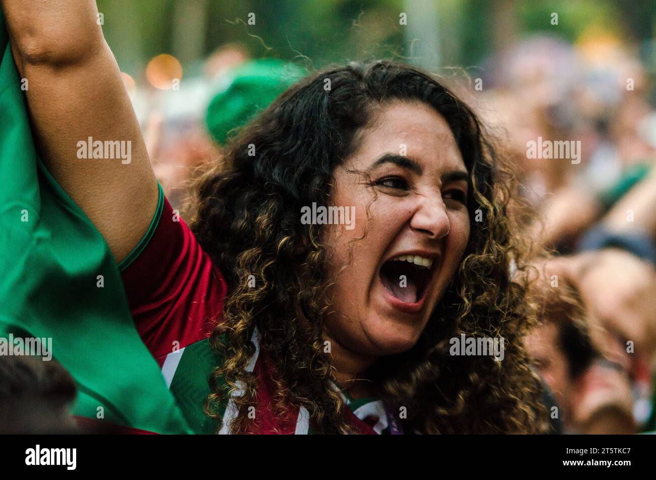 Rio de Janeiro, Brazil. 4th Nov, 2023. A young Fluminense fan reacts ...