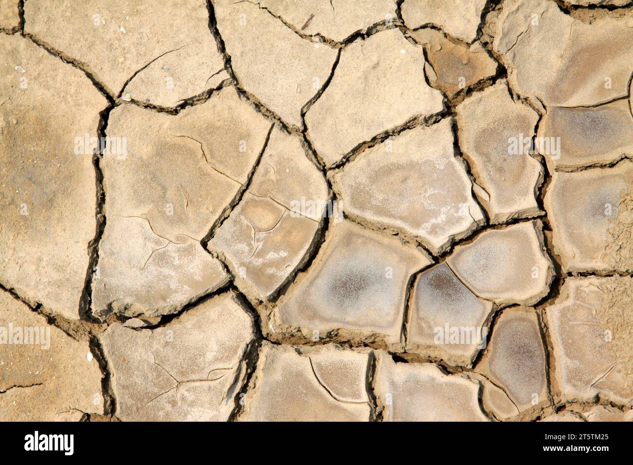 dry ground in the outdoors, closeup of photo Stock Photo - Alamy