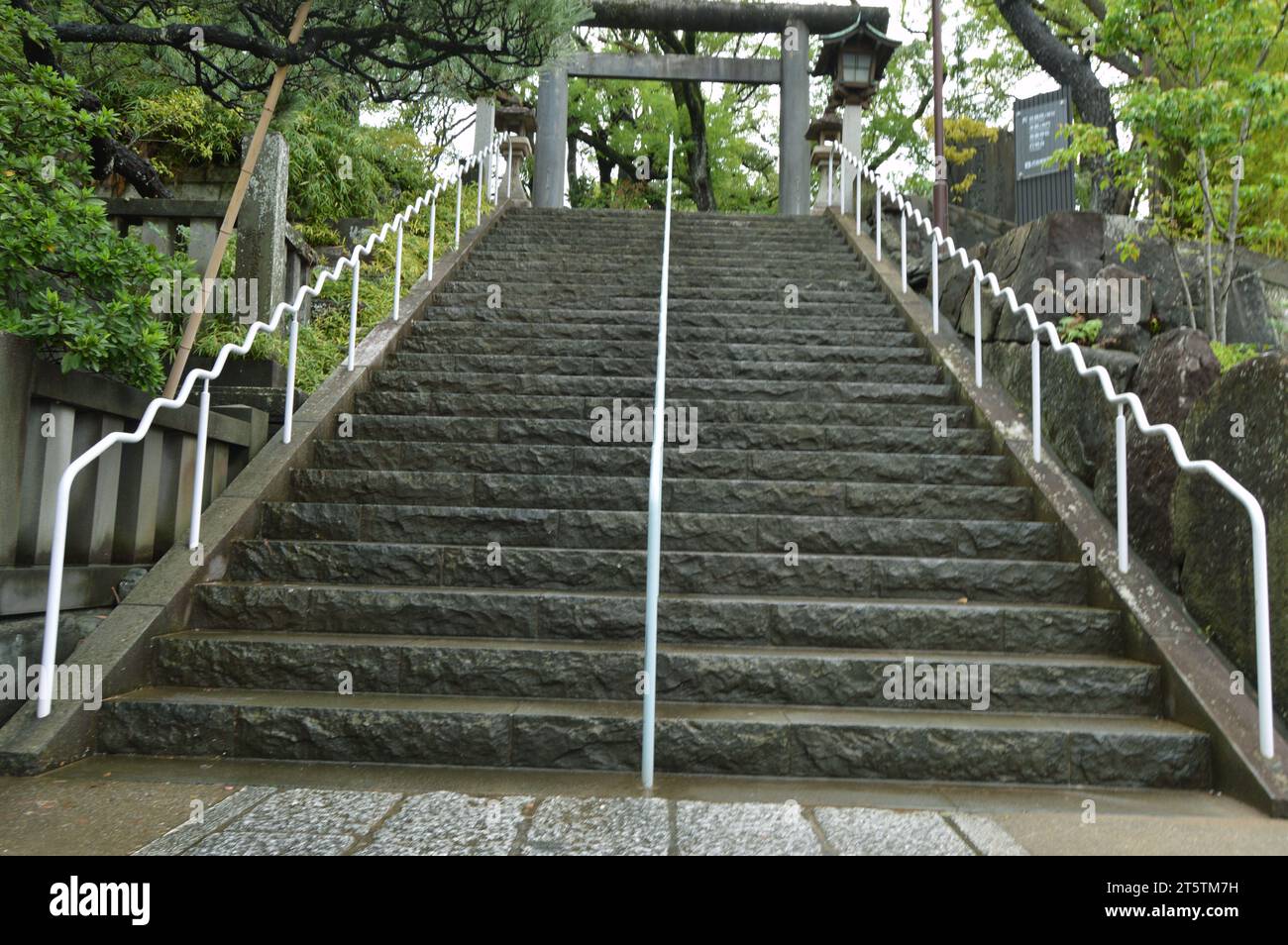 Pinnacle Prowess: Outdoor Ladder Expeditions" "Step by Step Skyward ...