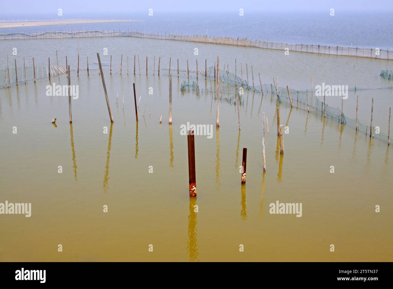 Posts and nets Stock Photo - Alamy
