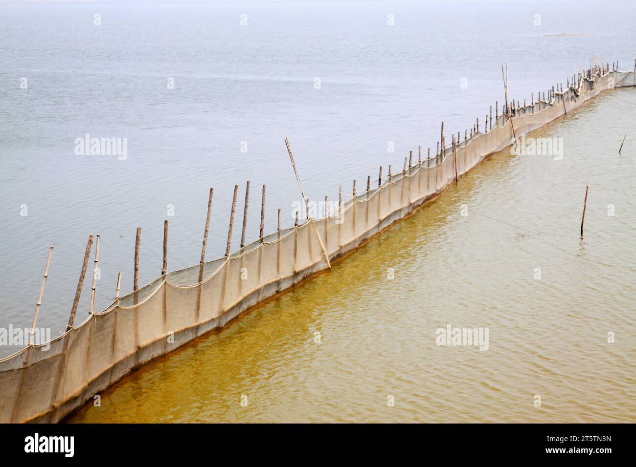 Posts and nets Stock Photo - Alamy