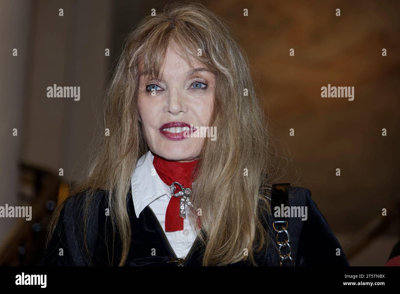 Paris, France. 6th Nov, 2023. Arielle Dombasle attends Georges Bizet ...