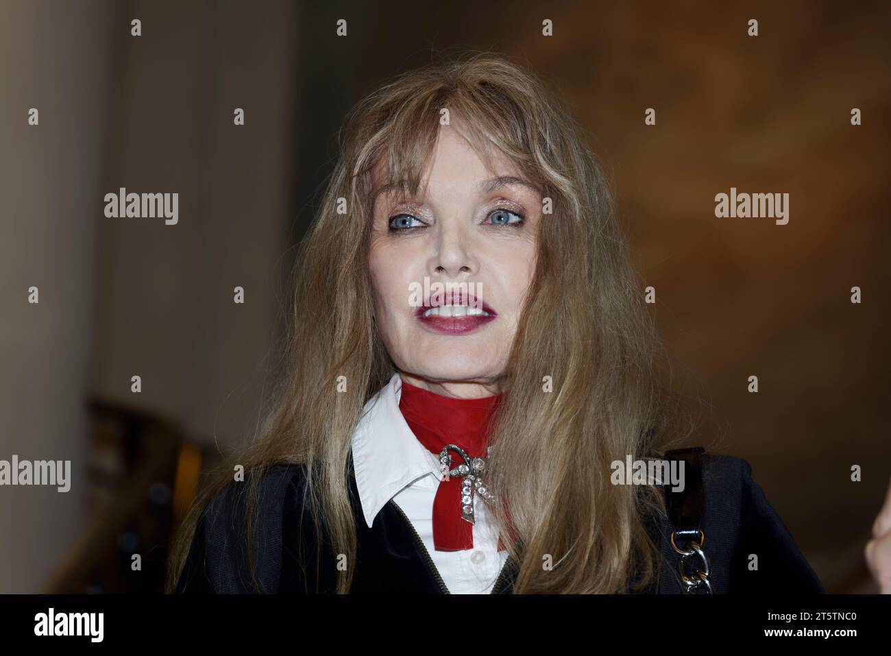 Paris, France. 6th Nov, 2023. Arielle Dombasle attends Georges Bizet ...