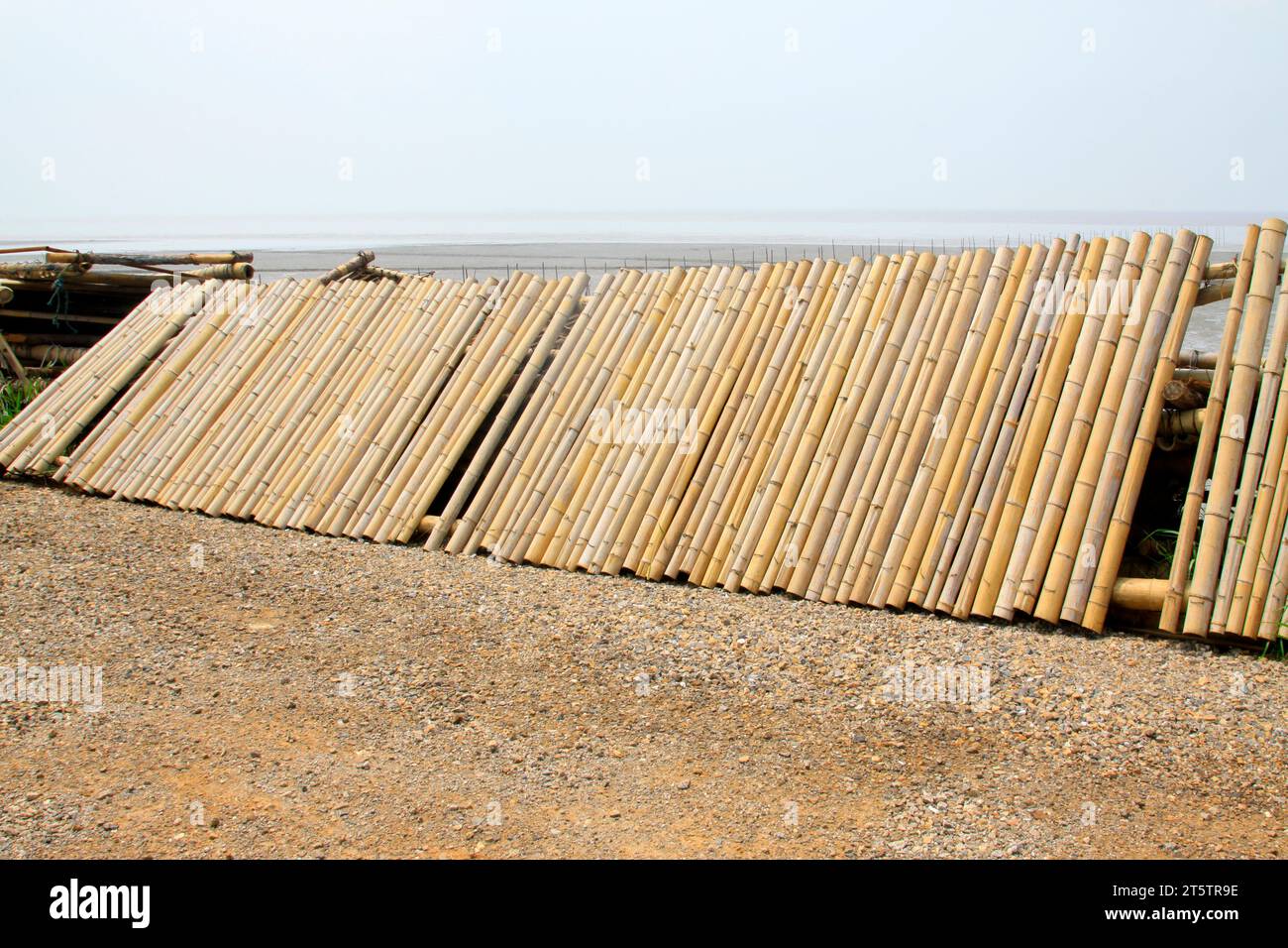 Bamboo split together Stock Photo - Alamy