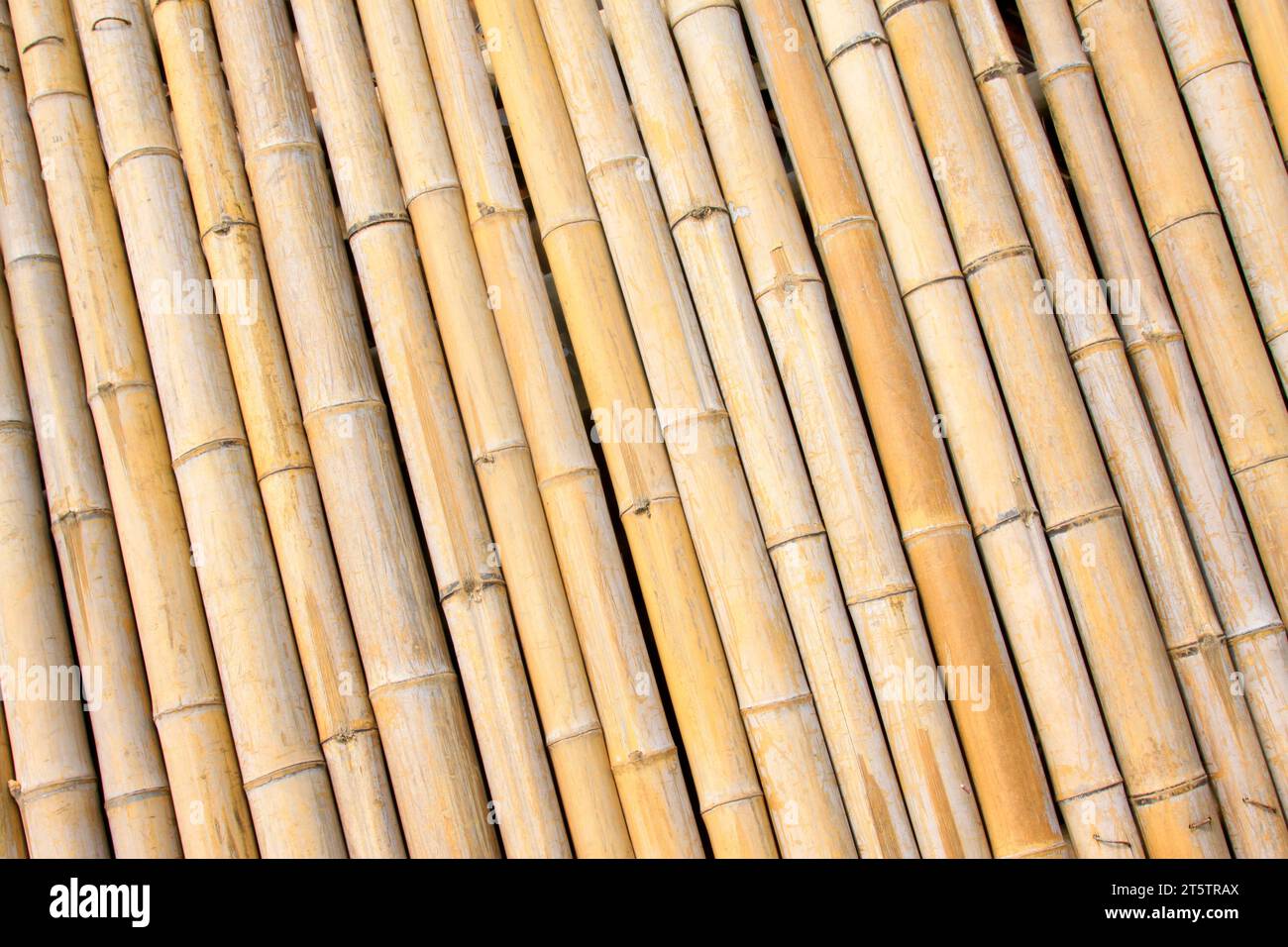 Bamboo split together Stock Photo - Alamy