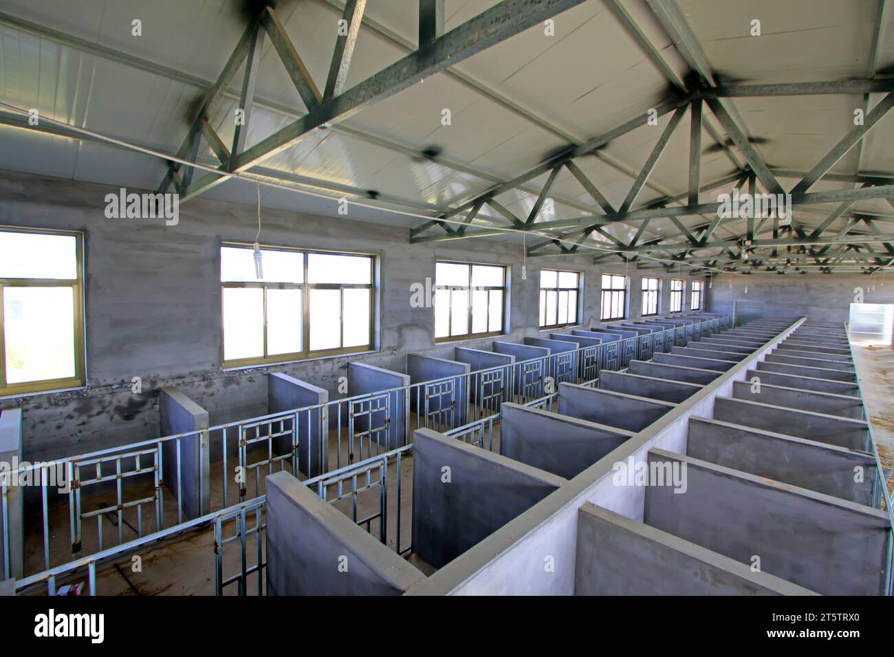 Breeding room hi-res stock photography and images - Alamy