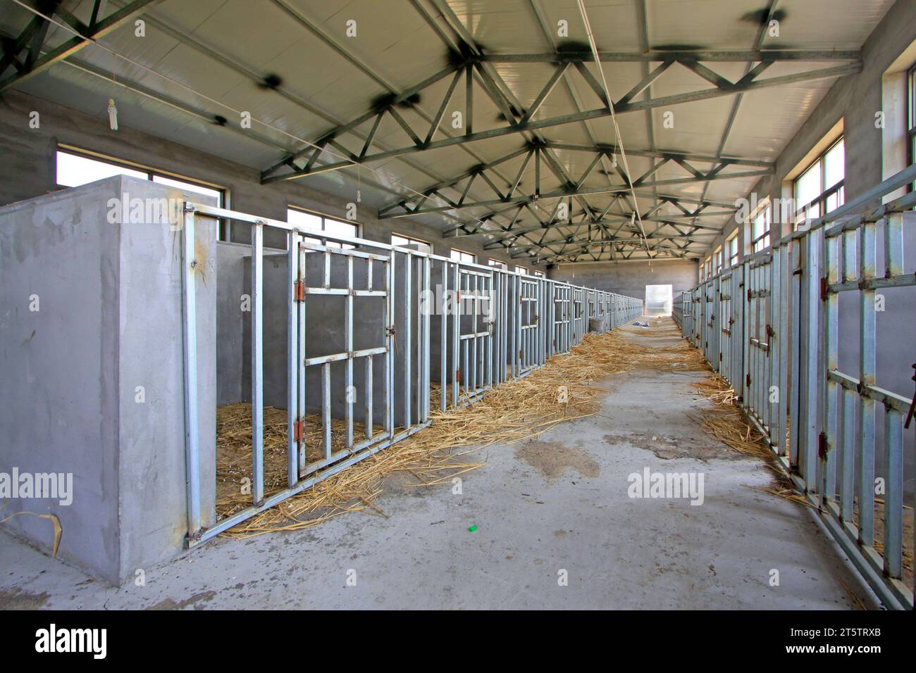 Breeding room hi-res stock photography and images - Alamy
