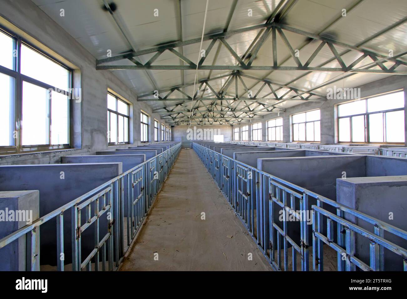 Breeding room hi-res stock photography and images - Alamy