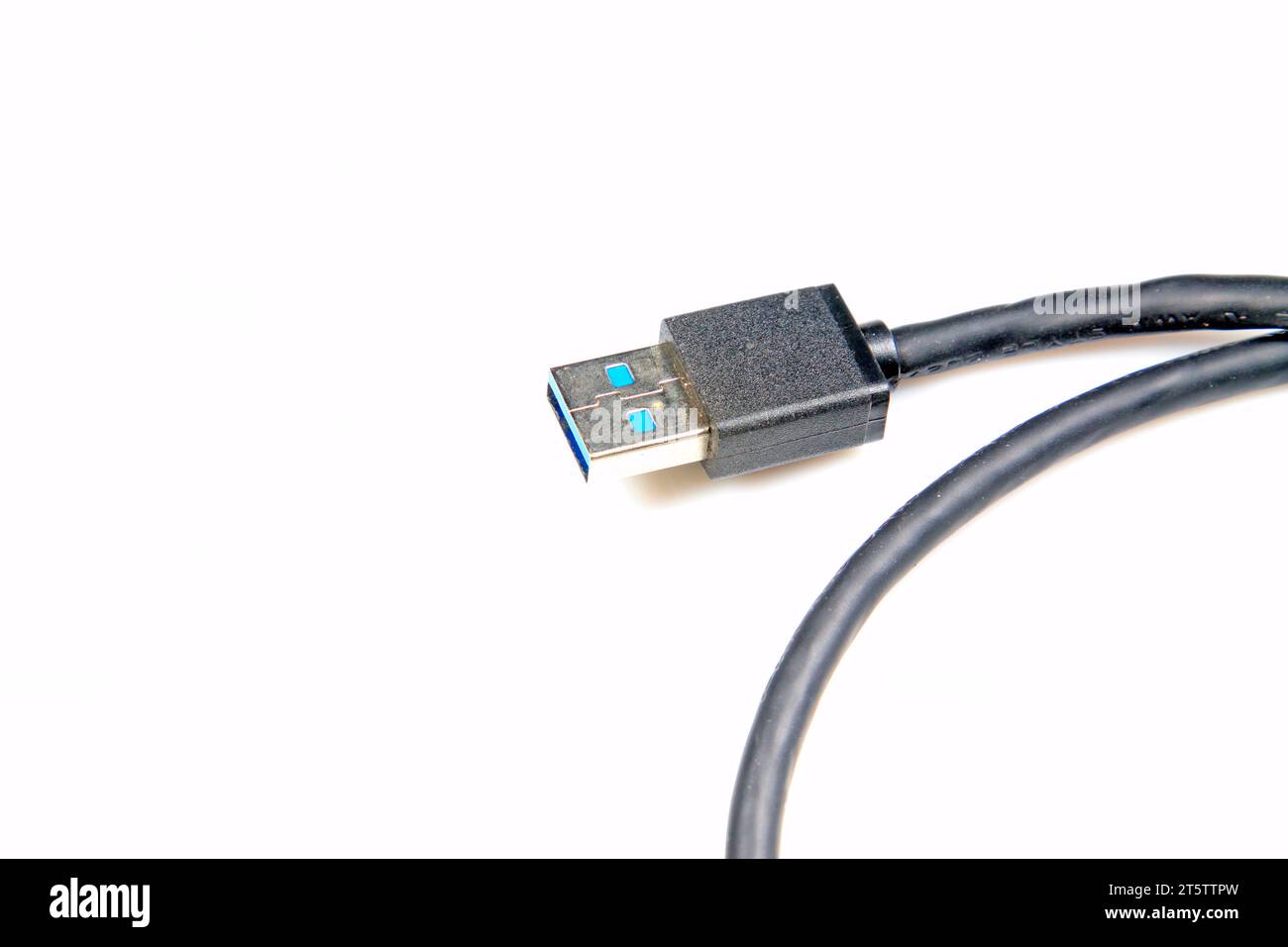 Plug local area network hi-res stock photography and images - Alamy