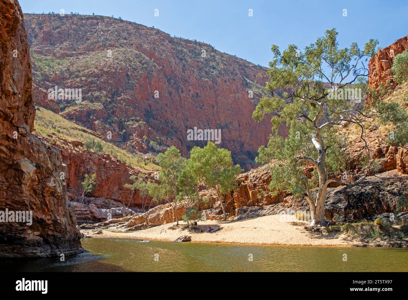 Ormiston park hi-res stock photography and images - Alamy